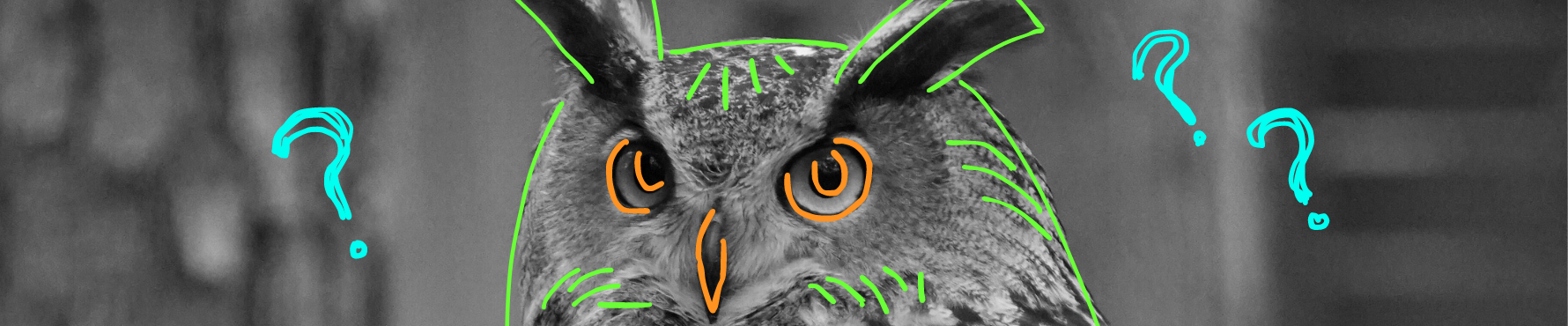 A Brief Guide to DevOps Automation for Software Delivery Leaders